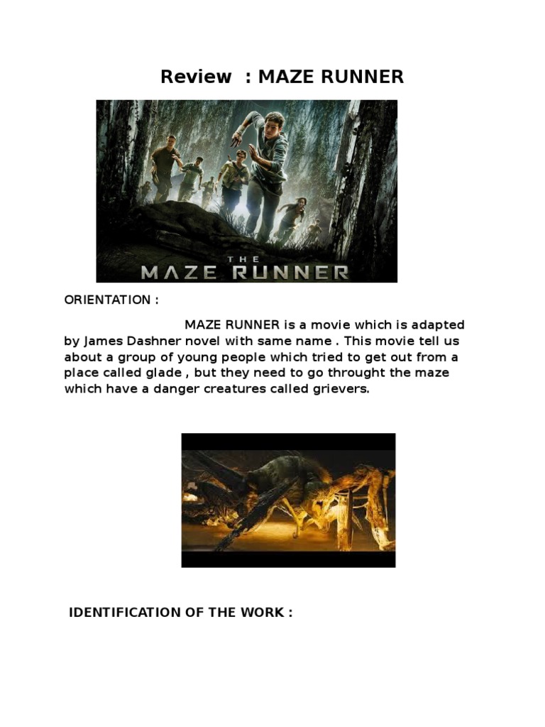 Review: Maze Runner: Identification of The Work | PDF | Art