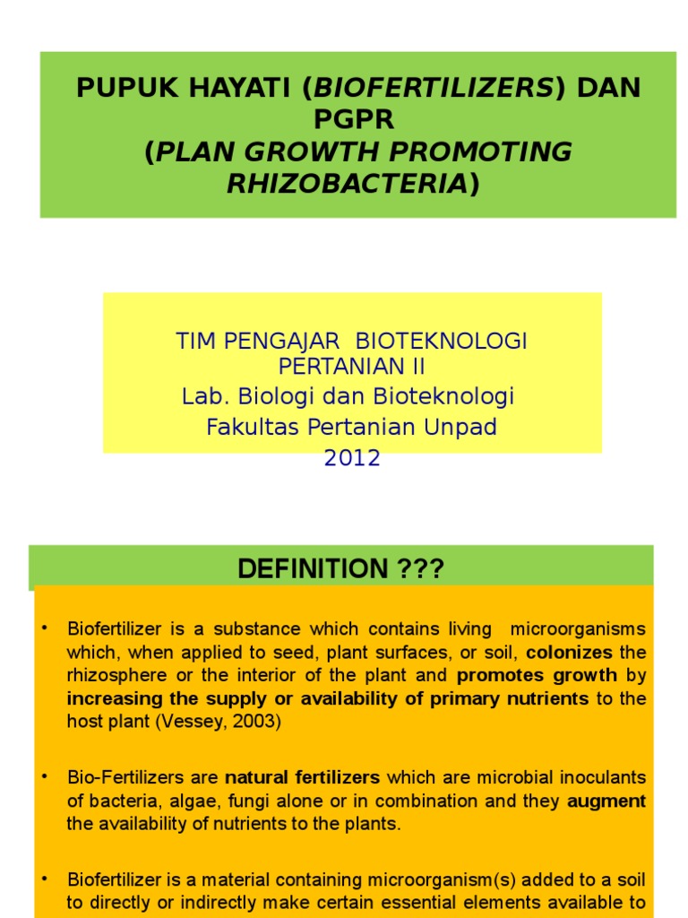 Pupuk Hayati (Biofertilizers) Dan PGPR (Plan Growth Promoting | PDF