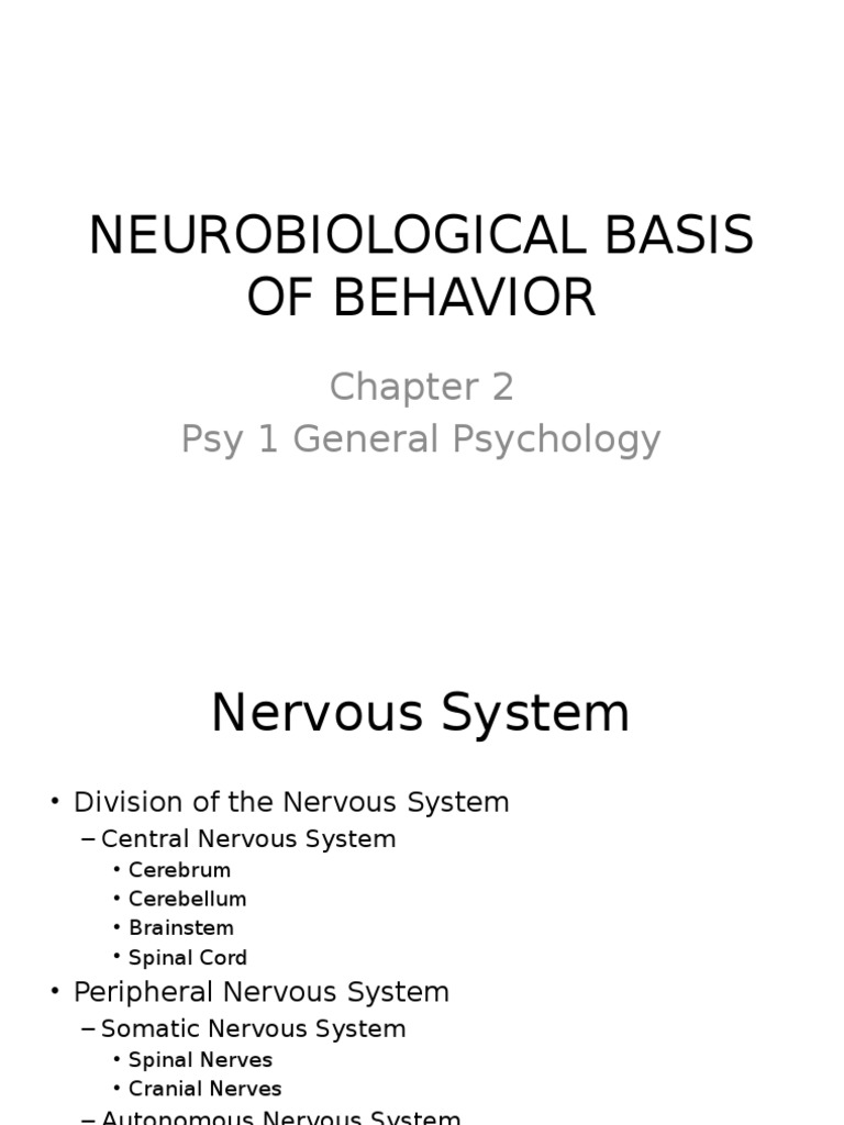 Psy 1 Chap 2 Neurobiological Basis of Behavior | PDF