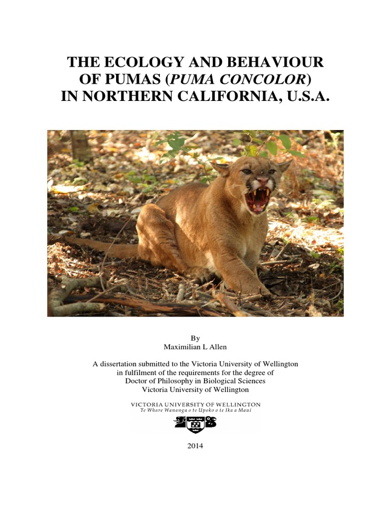 Thesis | PDF | Cougar | Ecology