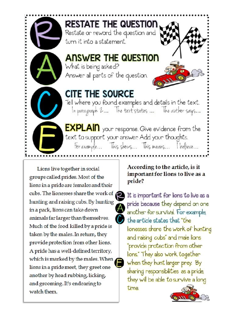Race Strategy and Rubric | PDF