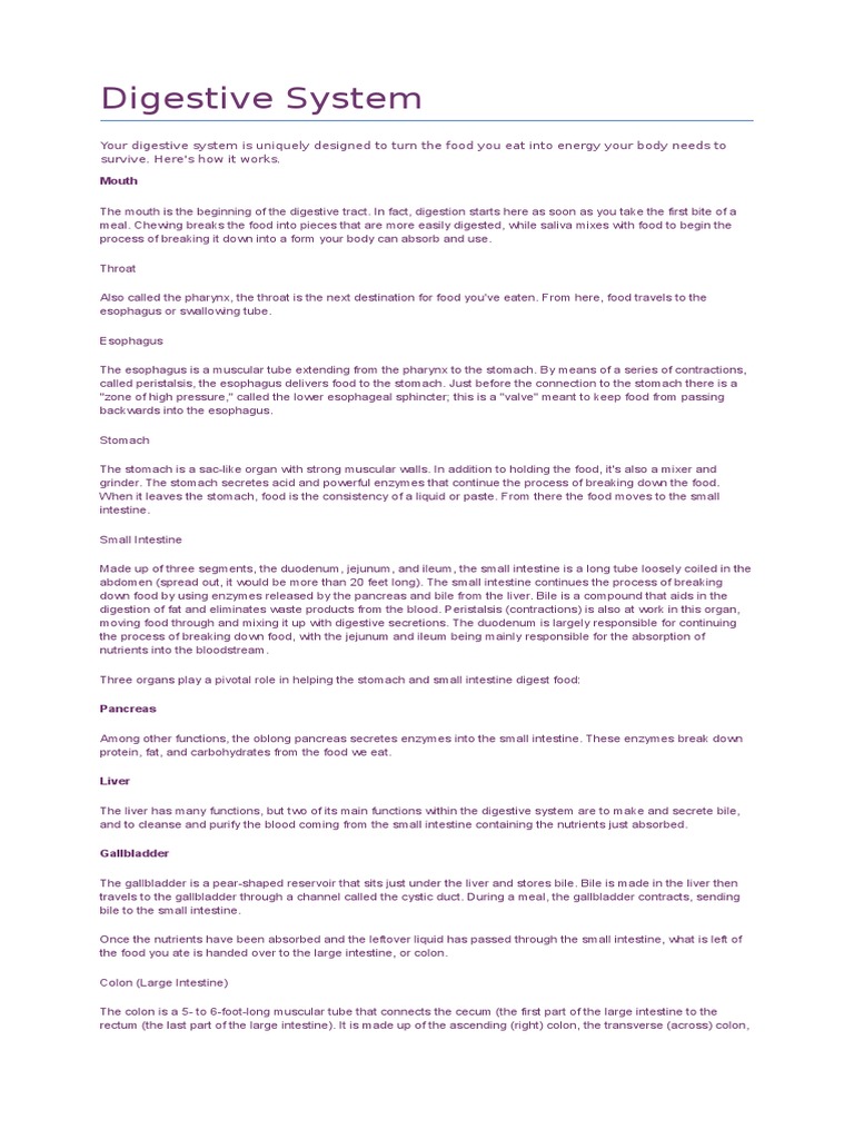 Digestive System | PDF | Lung | Endocrine System