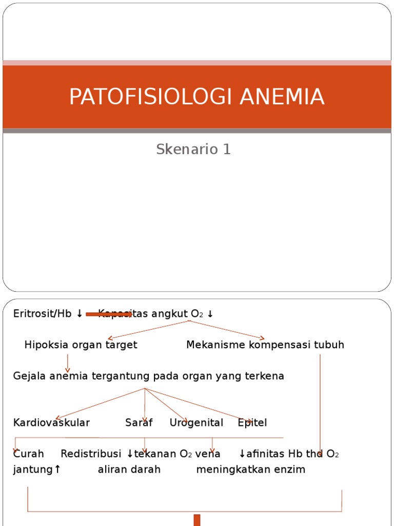 Patofisiologi Anemia | PDF