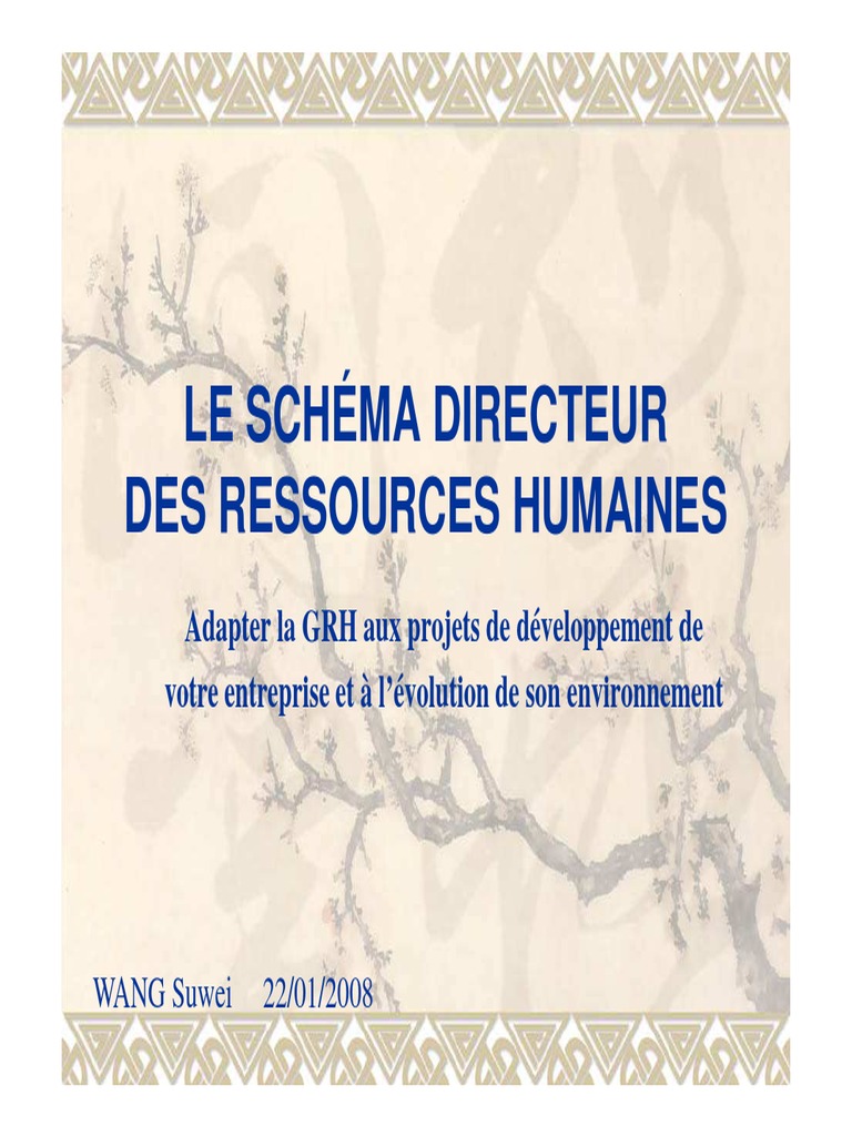 Le Schéma Directeur Des Ressources Humaines | PDF | Gestion des ...