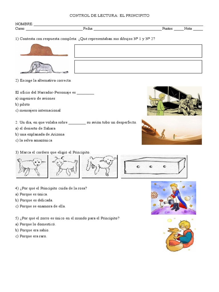 Control de Lectura El Principito | PDF