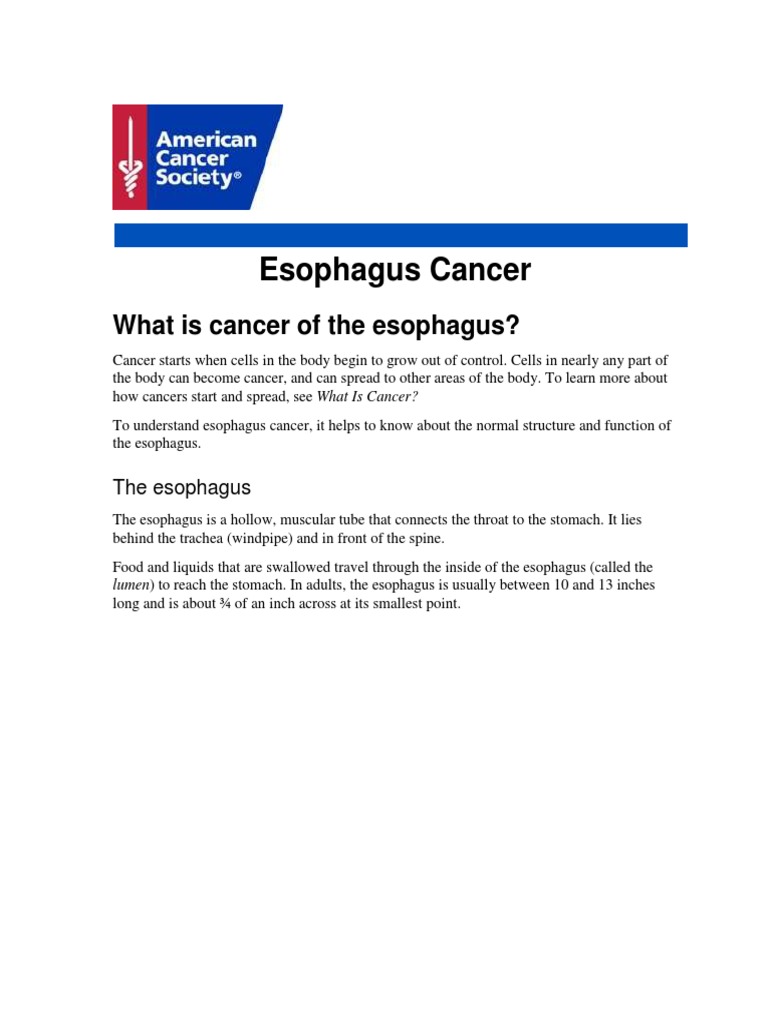 Tumor Esofagus | PDF | Esophagus | Esophageal Cancer