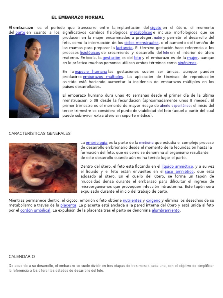 El Embarazo Normal | PDF | El embarazo | Parto
