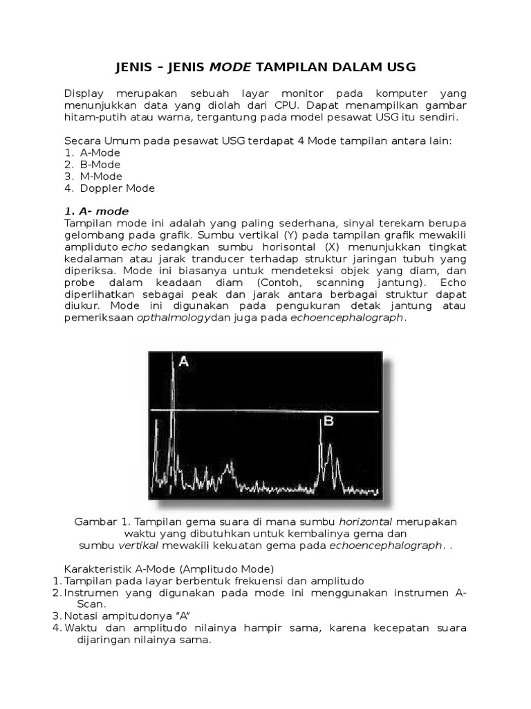 Jenis Mode USG | PDF
