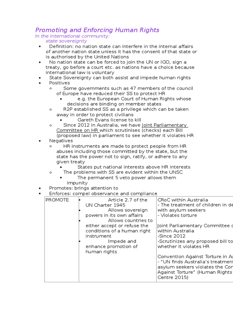 Promoting and Enforcing Human Rights | PDF | International Criminal ...