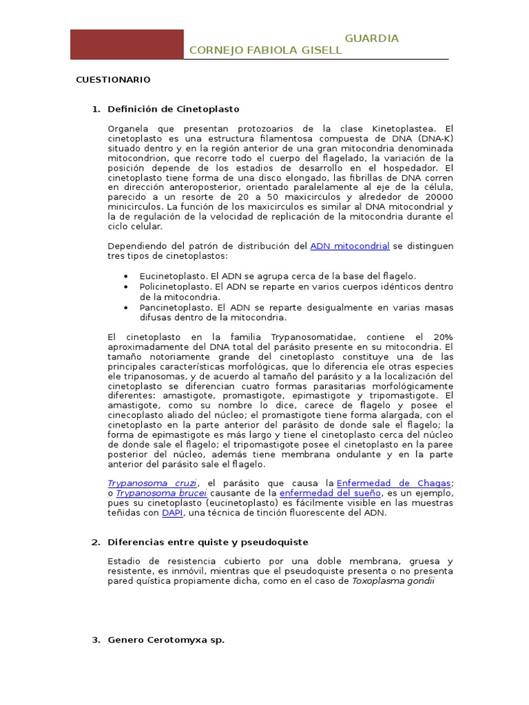 Anatomía y función del cinetoplasto en tripanosomas: Un estudio sobre ...