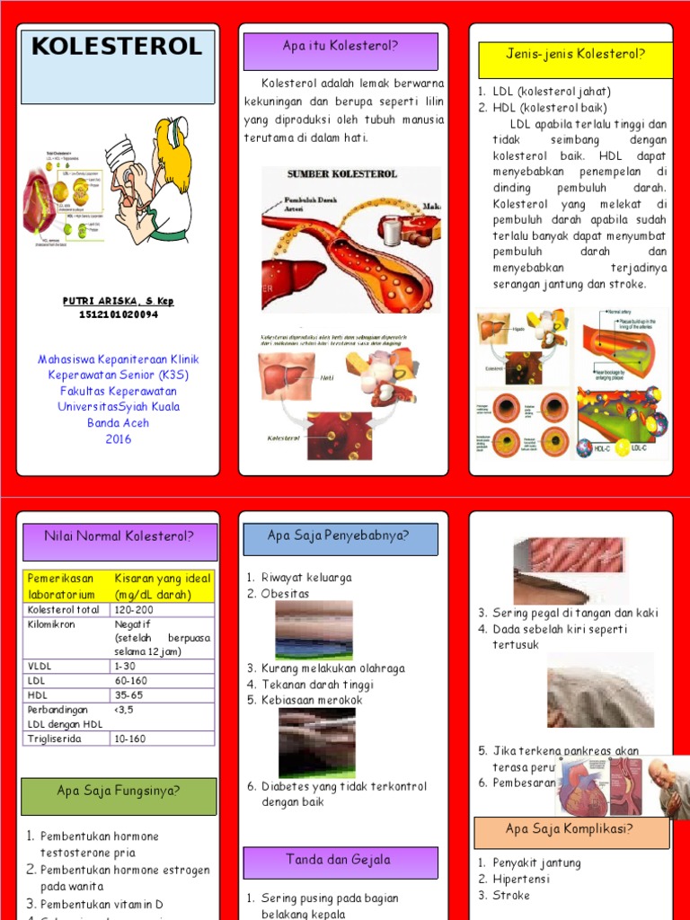 Leaflet kolesterol ok.docx