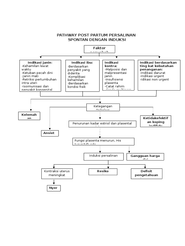 Pathway Post Partum Induksi | PDF