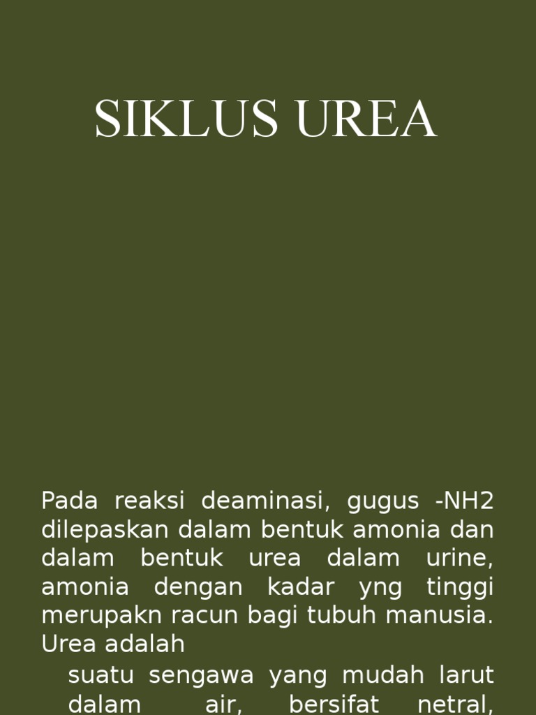 Siklus Urea | PDF
