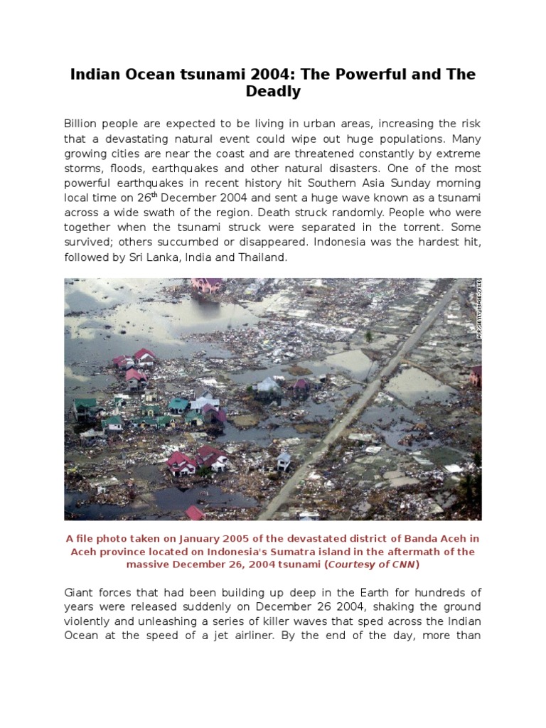 Indian Ocean Tsunami 2004 | PDF | Tsunami | Earthquakes