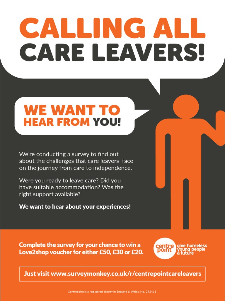 Care Leavers Survey Poster | PDF
