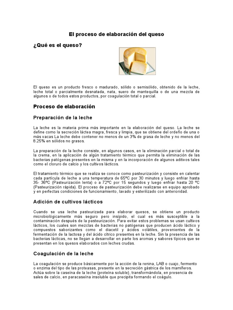 El Proceso de Elaboraci N Del Queso PARA TALLER 2 | PDF | Leche | Queso