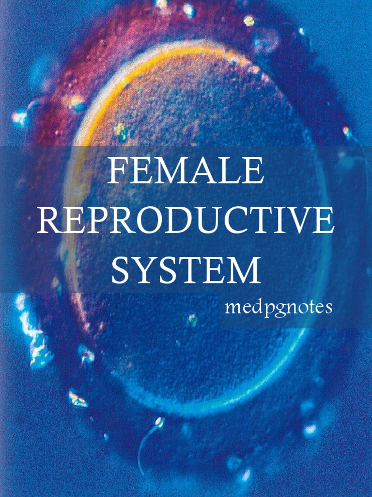 Female Reproductive System Sample | PDF | Menstrual Cycle | Luteinizing ...