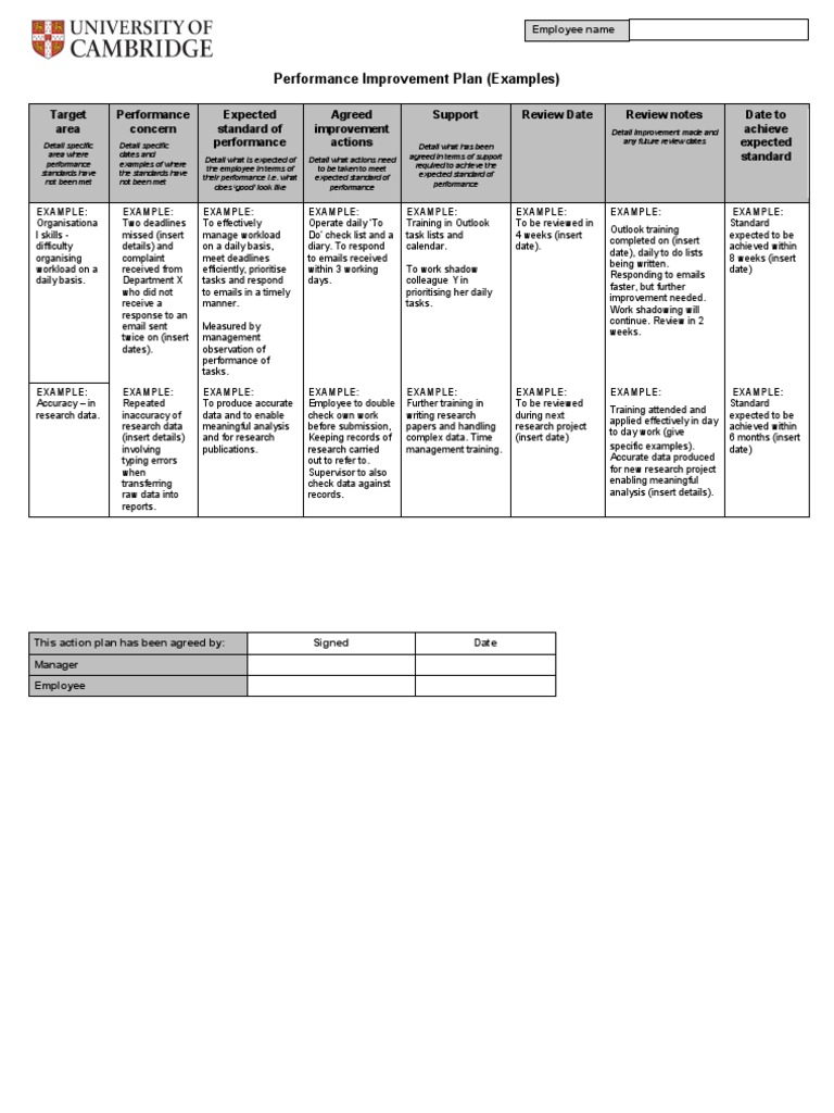 A Framework for Performance Improvement: Target Areas, Actions, Support ...