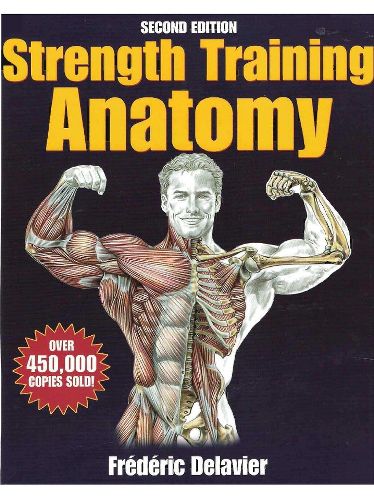 Strength Training Anatomy Pdf Pdf