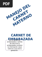 Carnet Perinatal para Embarazadas 2024 | PDF | Embarazo Mamífero | Medicina