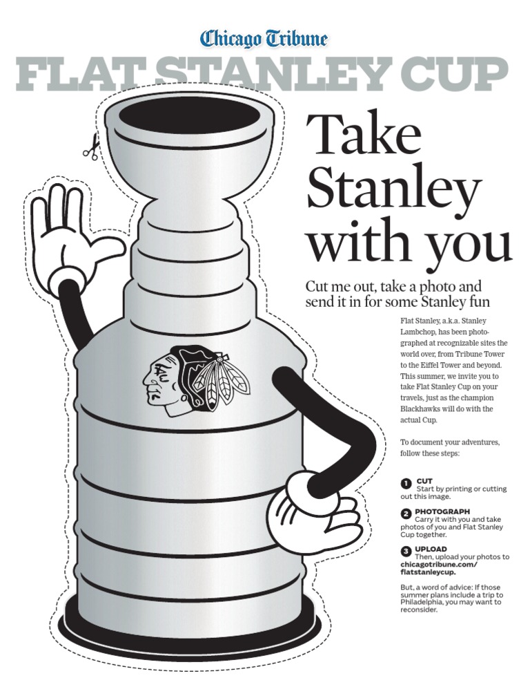 Flat Stanley Cup Photo Challenge | PDF