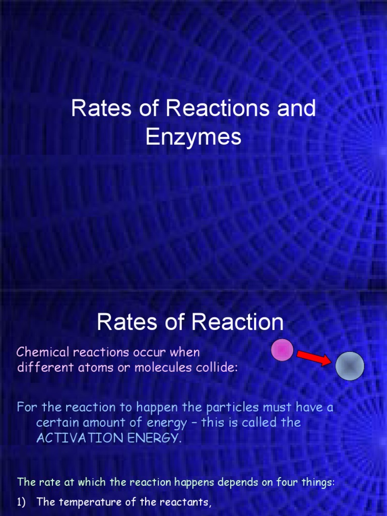 Understanding Reaction Rates and Enzymes | PDF