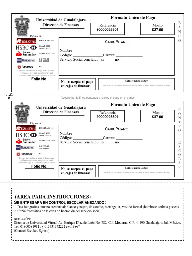 Carta de Pasante | PDF