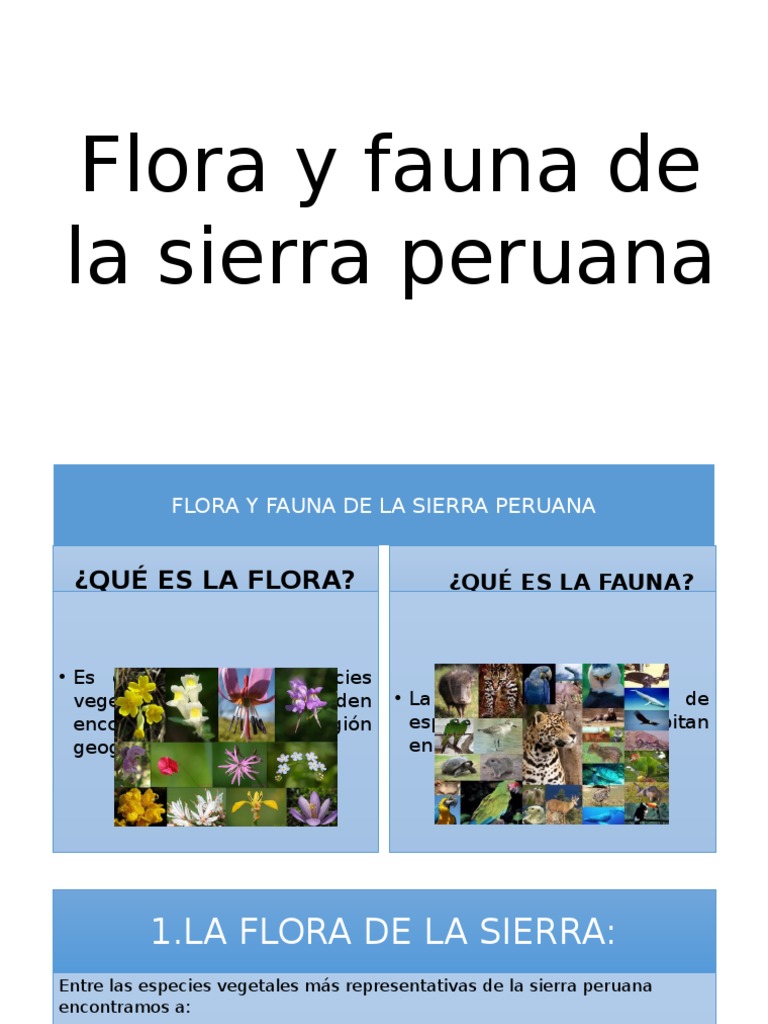 Flora y Fauna de La Sierra | PDF | Andes | Perú