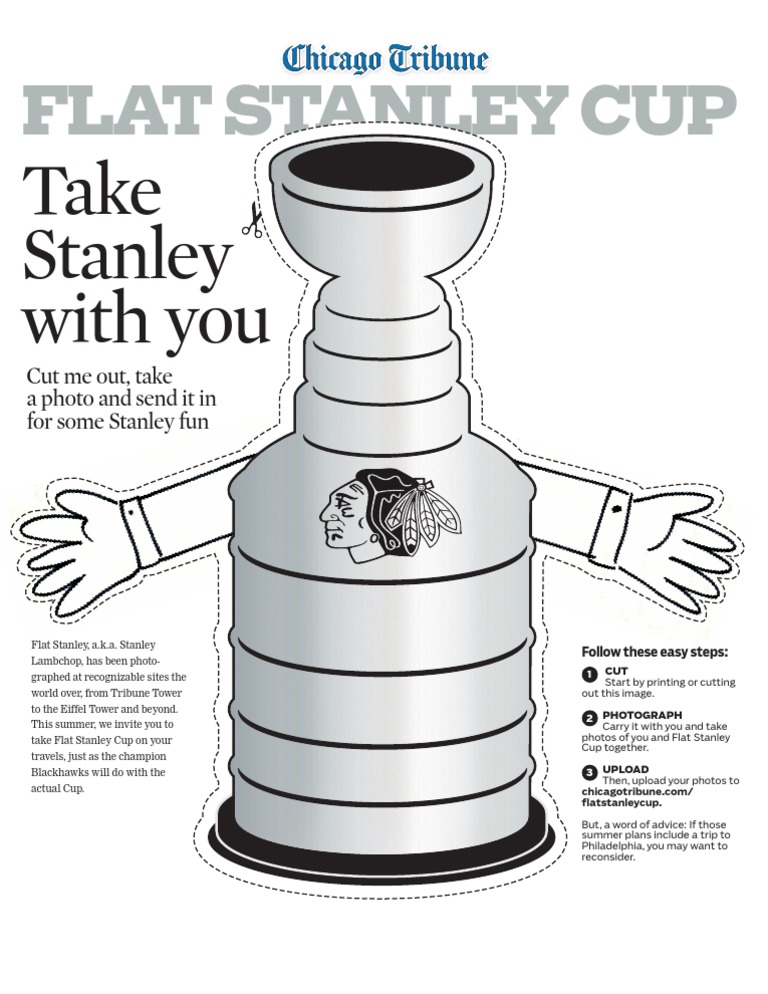 Flat Stanley Cup | PDF