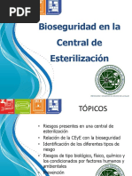 Lineamientos Generales Del Pvu 2024 | PDF