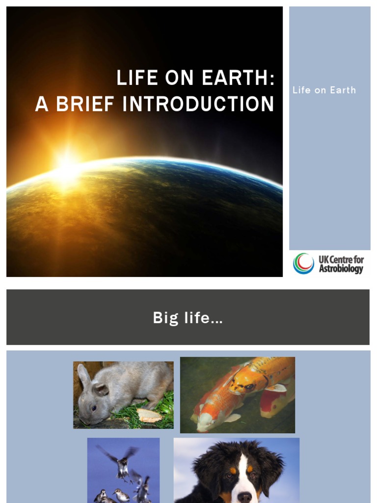 Life On Earth A Brief Introduction | PDF