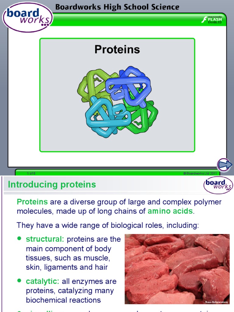 Proteins | PDF