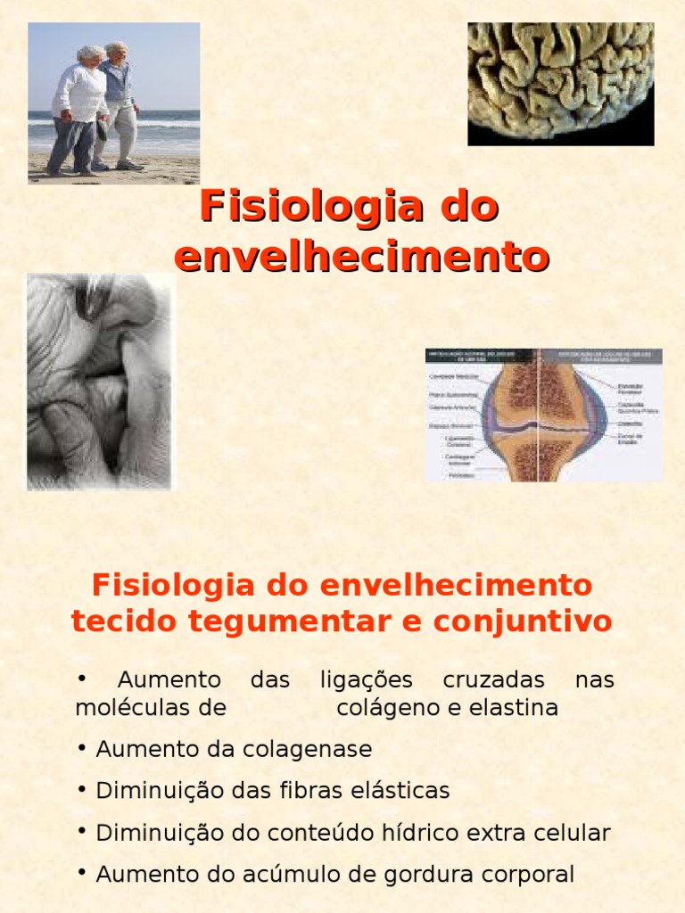 Fisiologia Do Envelhecimento PDF | PDF | Pele | Músculo