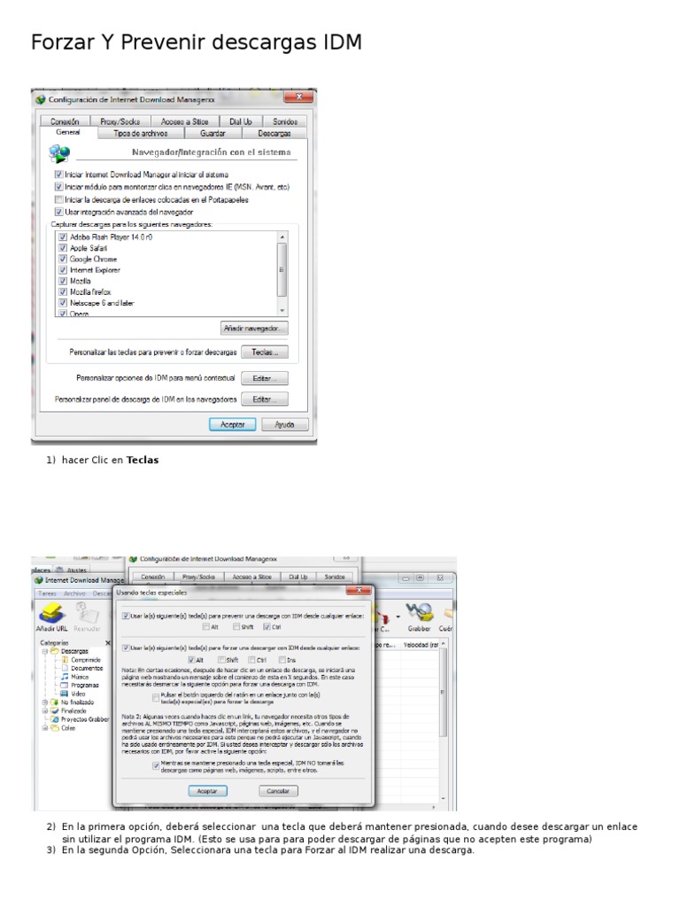 Forzar Y Prevenir Descargas IDM | PDF