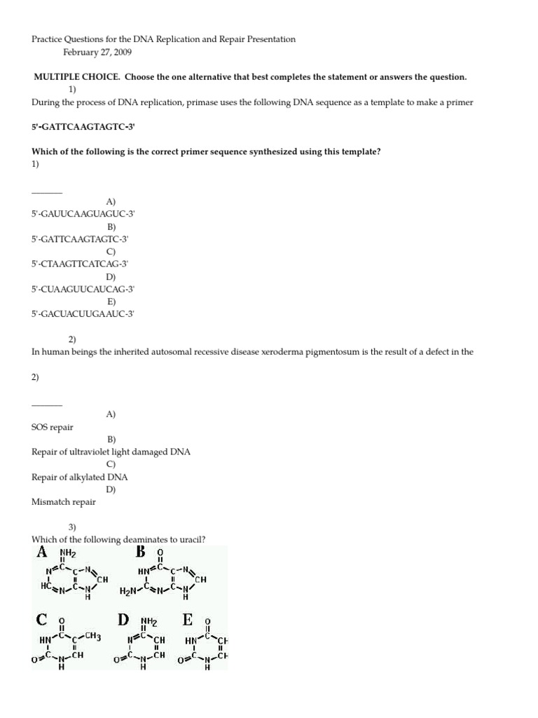 DNA Replication Practice Questions | PDF | Dna Replication | Dna