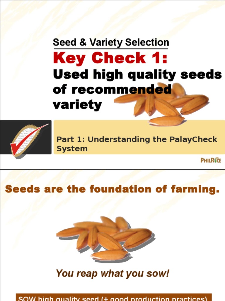 Variety and Seed Selection | PDF | Seed | Germination