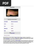 Regla de Los 9 | PDF | Quemar | Enfermedades y trastornos humanos