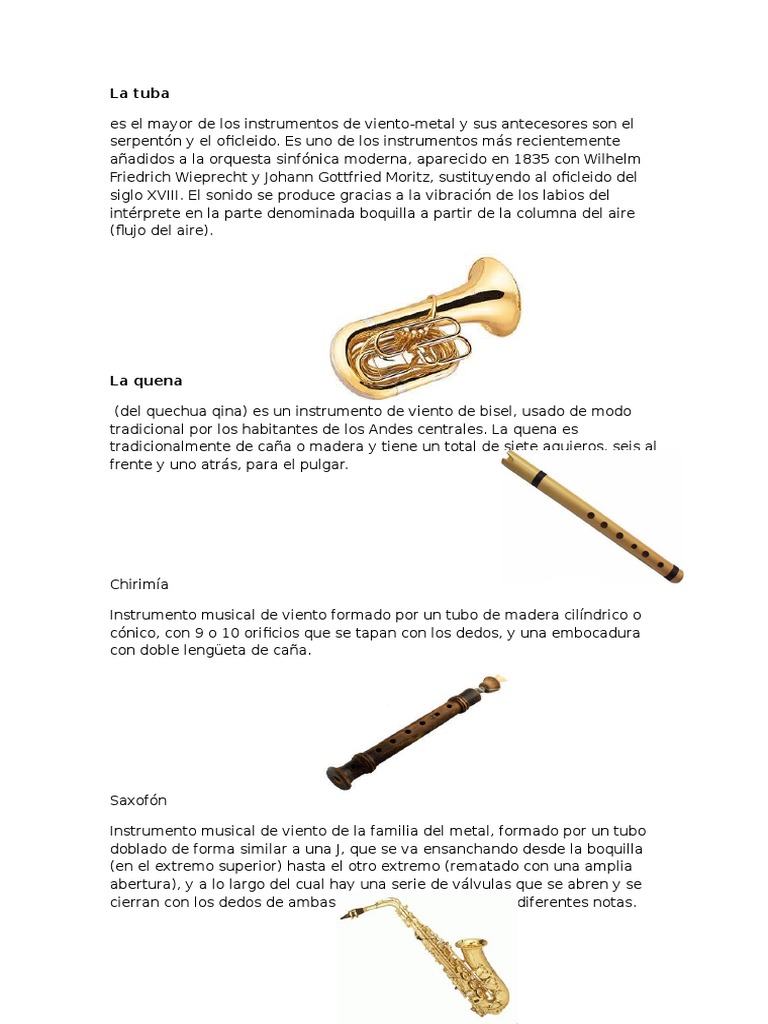 Instrumentos Con Definicion | PDF | Organologia | Instrumentos musicales