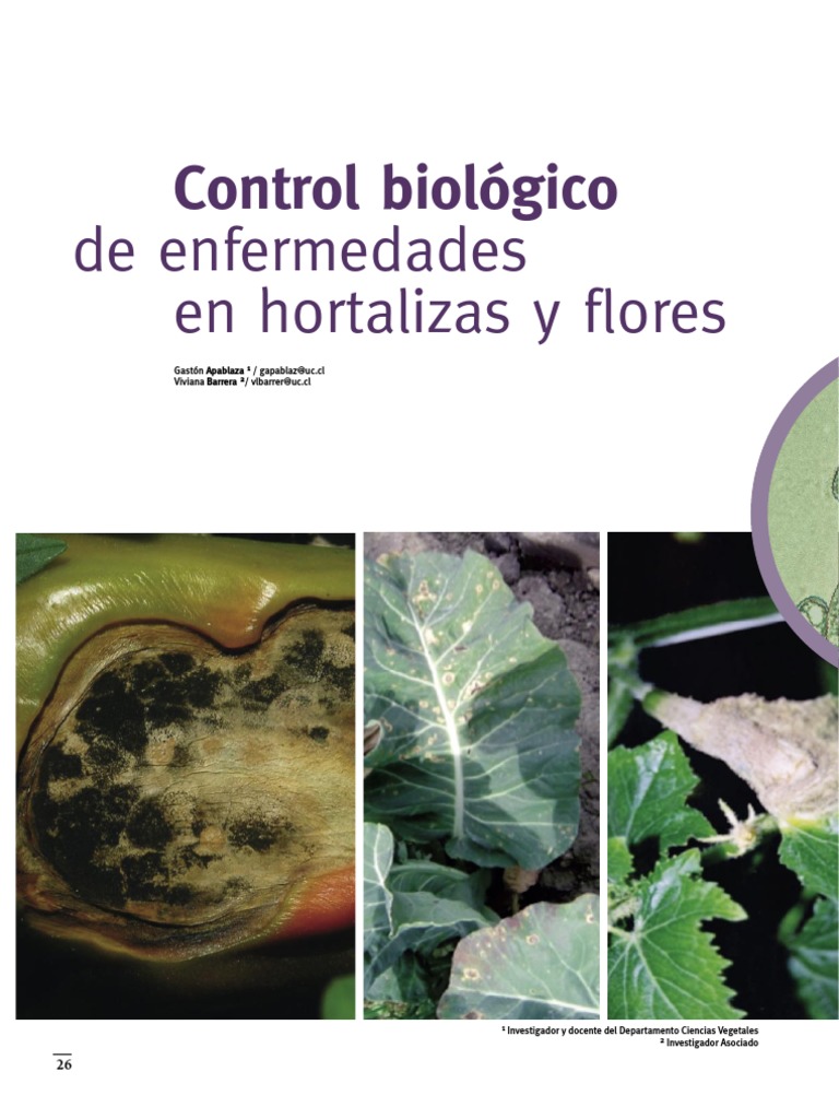 Control Biologico | PDF | Insectos beneficiosos | Agricultura