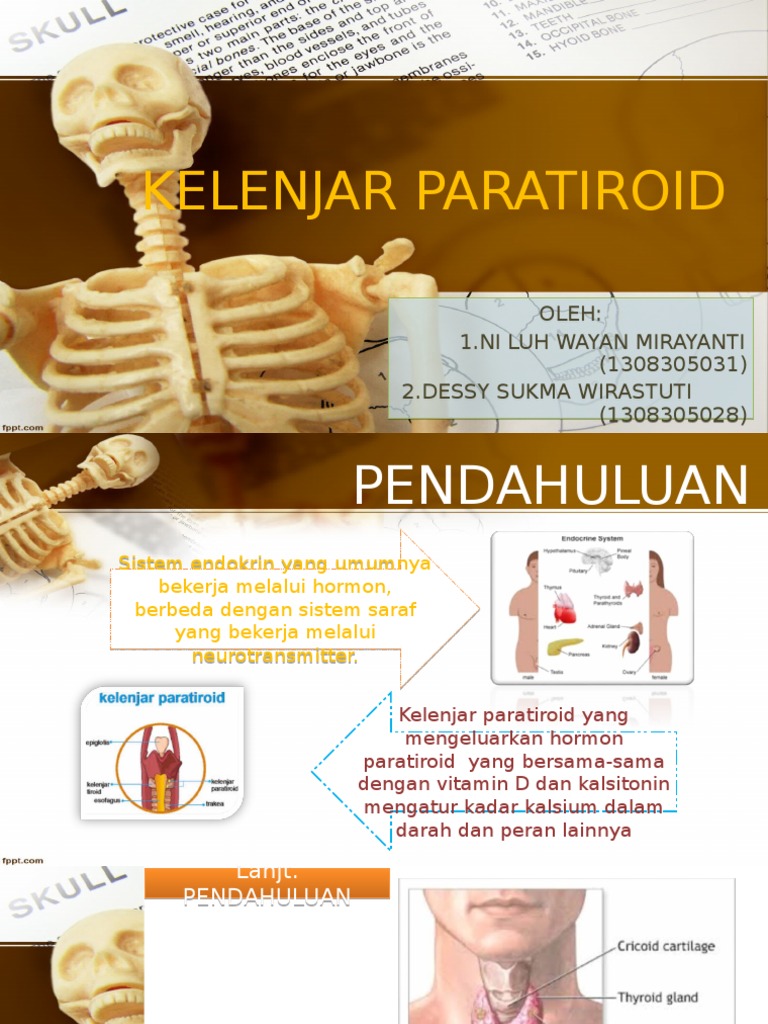 Fungsi dan Anatomi Kelenjar Paratiroid | PDF | Gaya Hidup