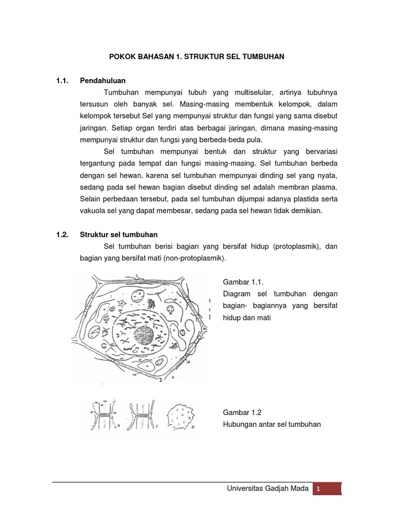Struktur Sel Tumbuhan PDF | PDF | Griya & Taman | Kesehatan Holistik