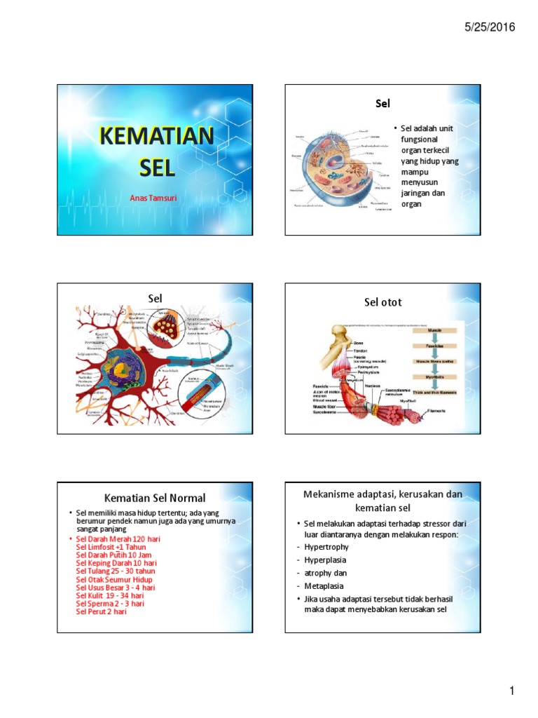 Kematian Sel PDF | PDF