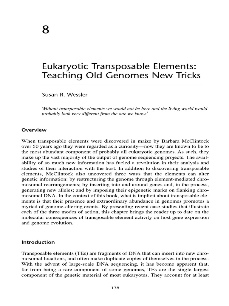 Eukaryotic Transposable Elements | PDF | Transposable Element | Genome