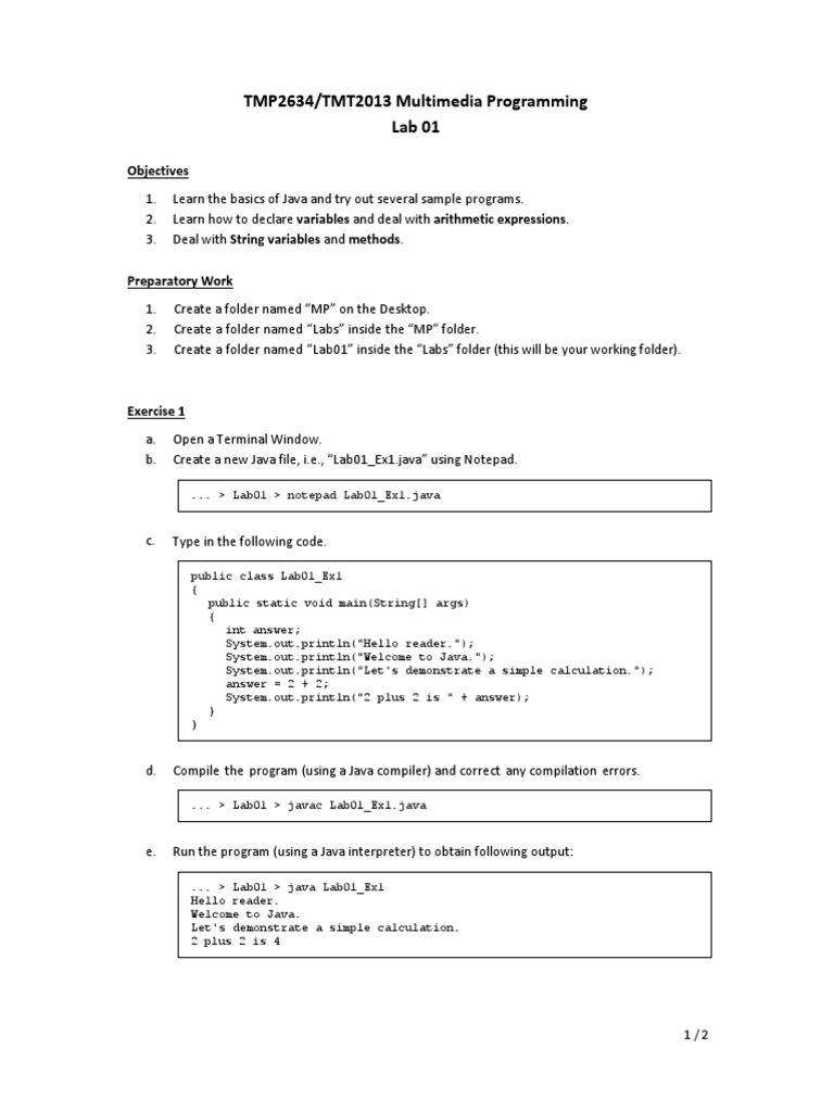 Introduction to Java Programming: Exercises on Variables, Operators, and Strings | PDF | Java ...