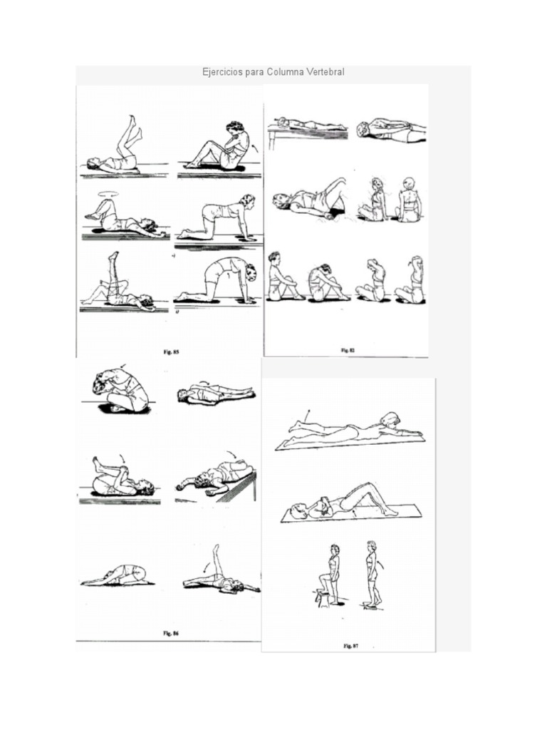 Ejercicios para Columna Vertebral | PDF | Rodilla | Músculo