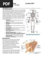 Autopsy of A Dill Pickle Person Lab | PDF | Abdomen | Anatomical Terms ...