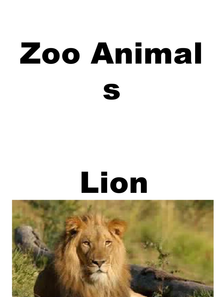 Zoo Animals | PDF