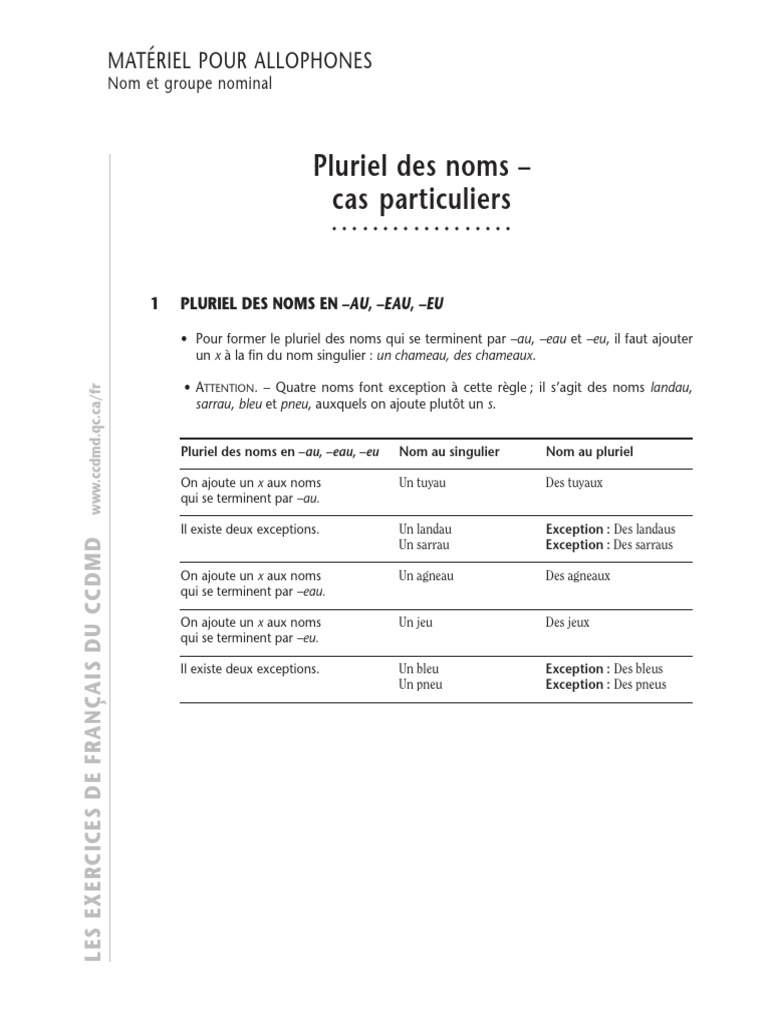Le Pluriel Des Noms - Theorie Et Exercices PDF | PDF | Arts (Général ...