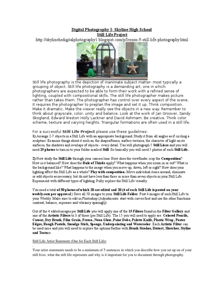 Digital Photography I-Skyline High School Still Life Project | PDF ...