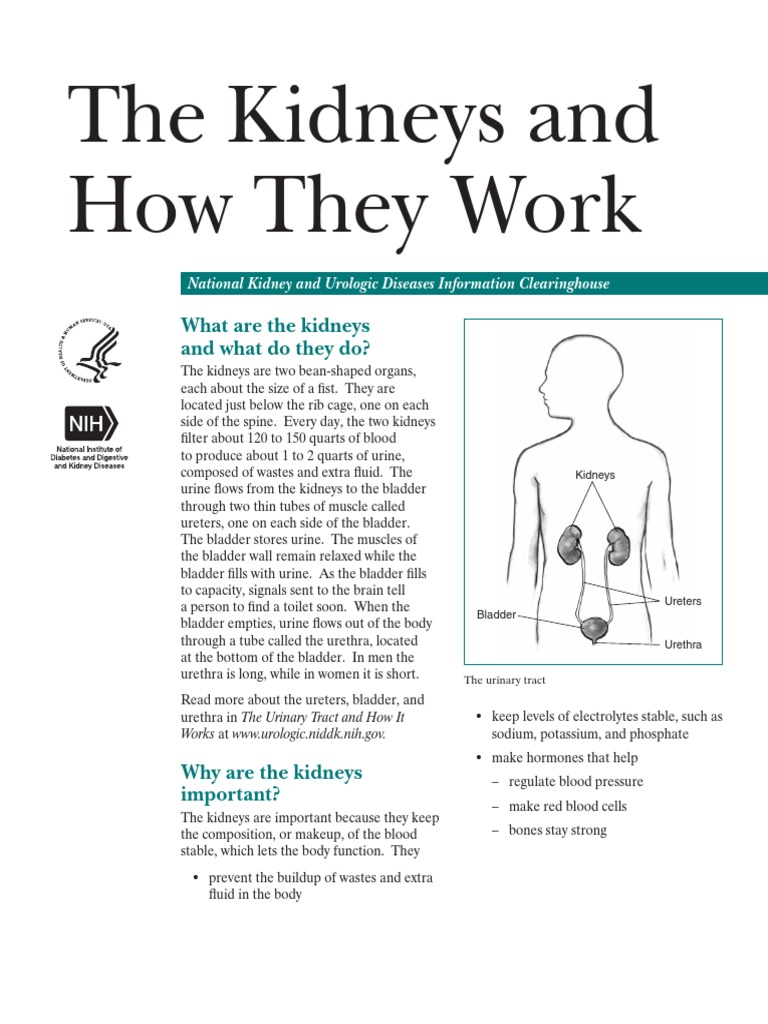 Kidneys and Kidney Disease PDF | PDF